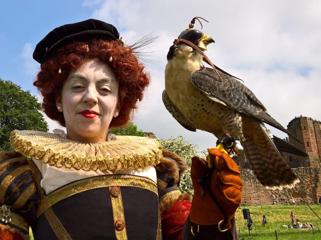 Gallery : Raphael Historic Falconry